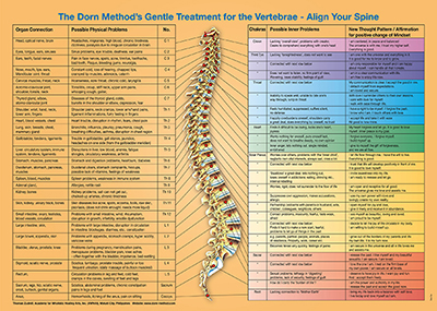 The Dorn Method - Spine-Organ-Connections