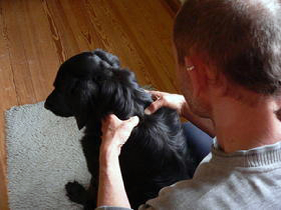 The Dorn Method - Dorn with Animals