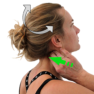 The Dorn Method - Dorn Selfhelp Exercises Spine and Neck